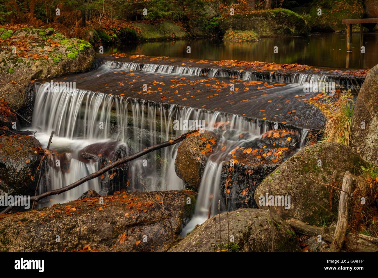 Cerna Desna creek in Jizerske mountains in autumn color fresh morning ...