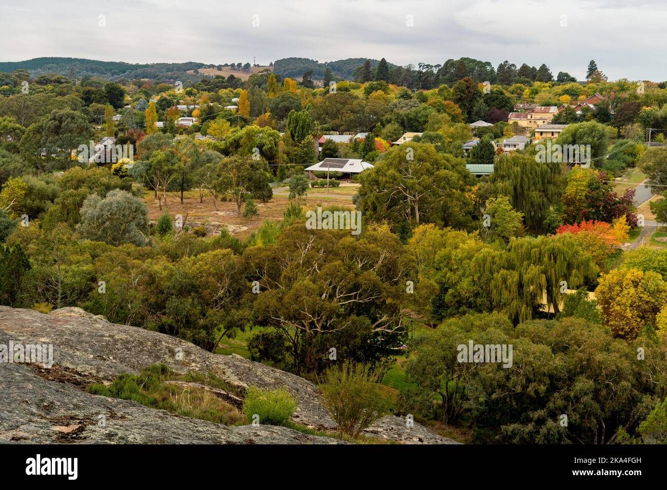 An aerial view of green trees and a village the near Beechworth Gorge ...