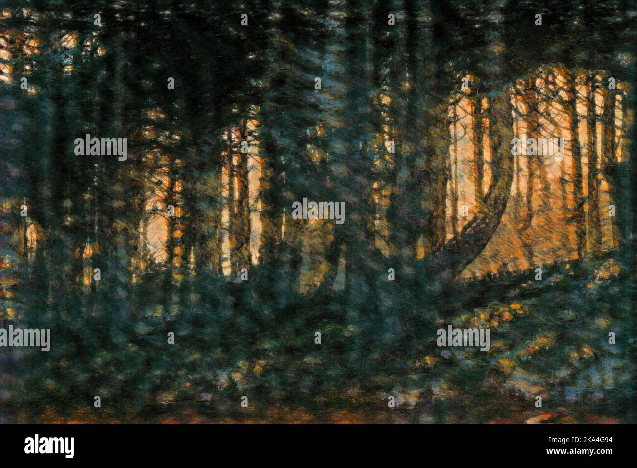 Dappled sunlight breaking through the forest of trees, creating ...