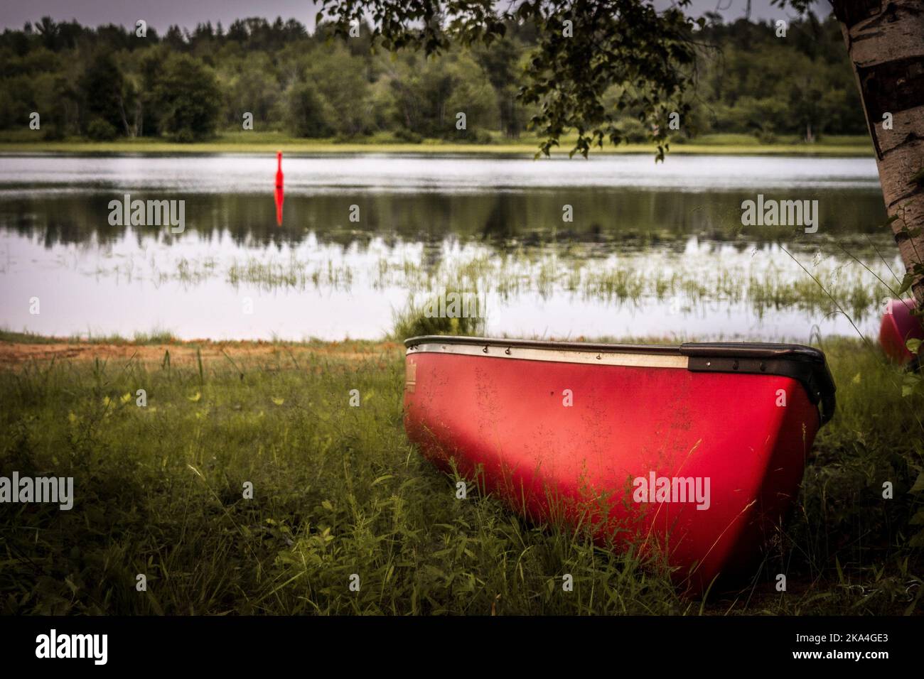 A red boat near the lake with trees in the background Stock Photo - Alamy