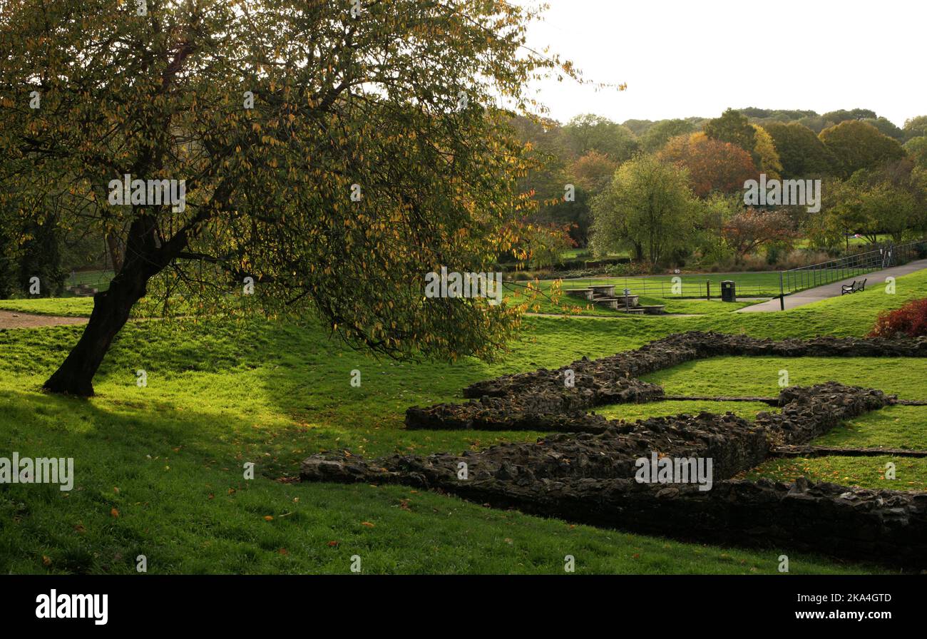Lesnes Abbey woods in the autumn, Abbey Wood, London. Part of the 11th ...