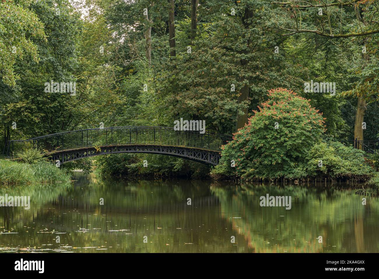 A beautiful bridge in a mystical green forest Stock Photo - Alamy
