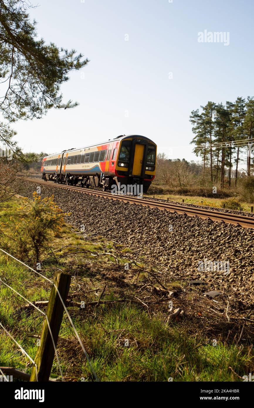 An Express Sprinter train traveling through Thetford Forest at Two Mile ...