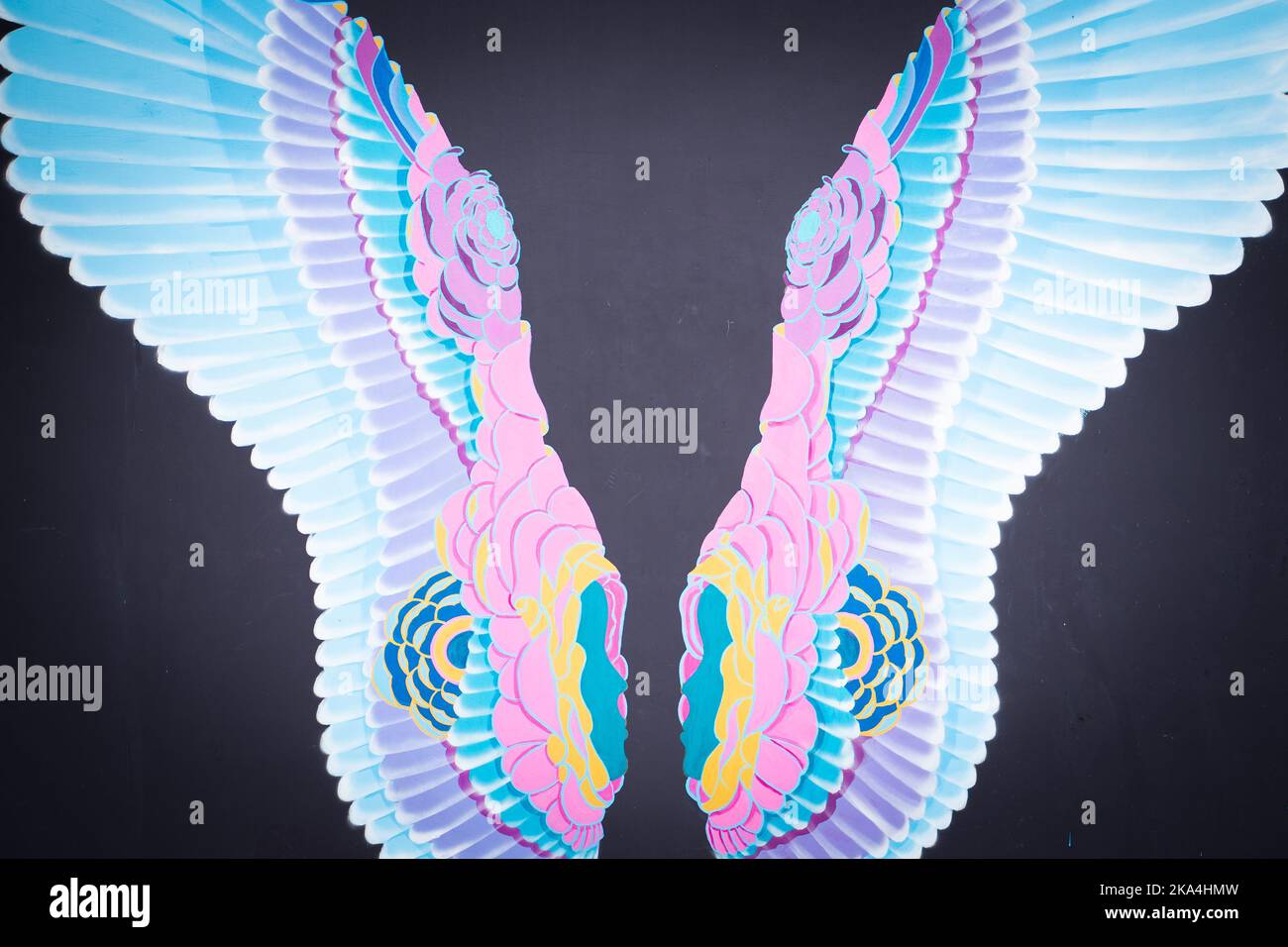Dark And Light Angel Wings