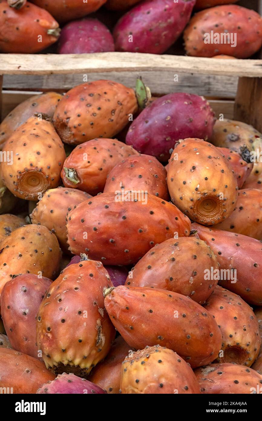 Closeup of fresh Prickly pear cactus fruit on a stall at a food market ...