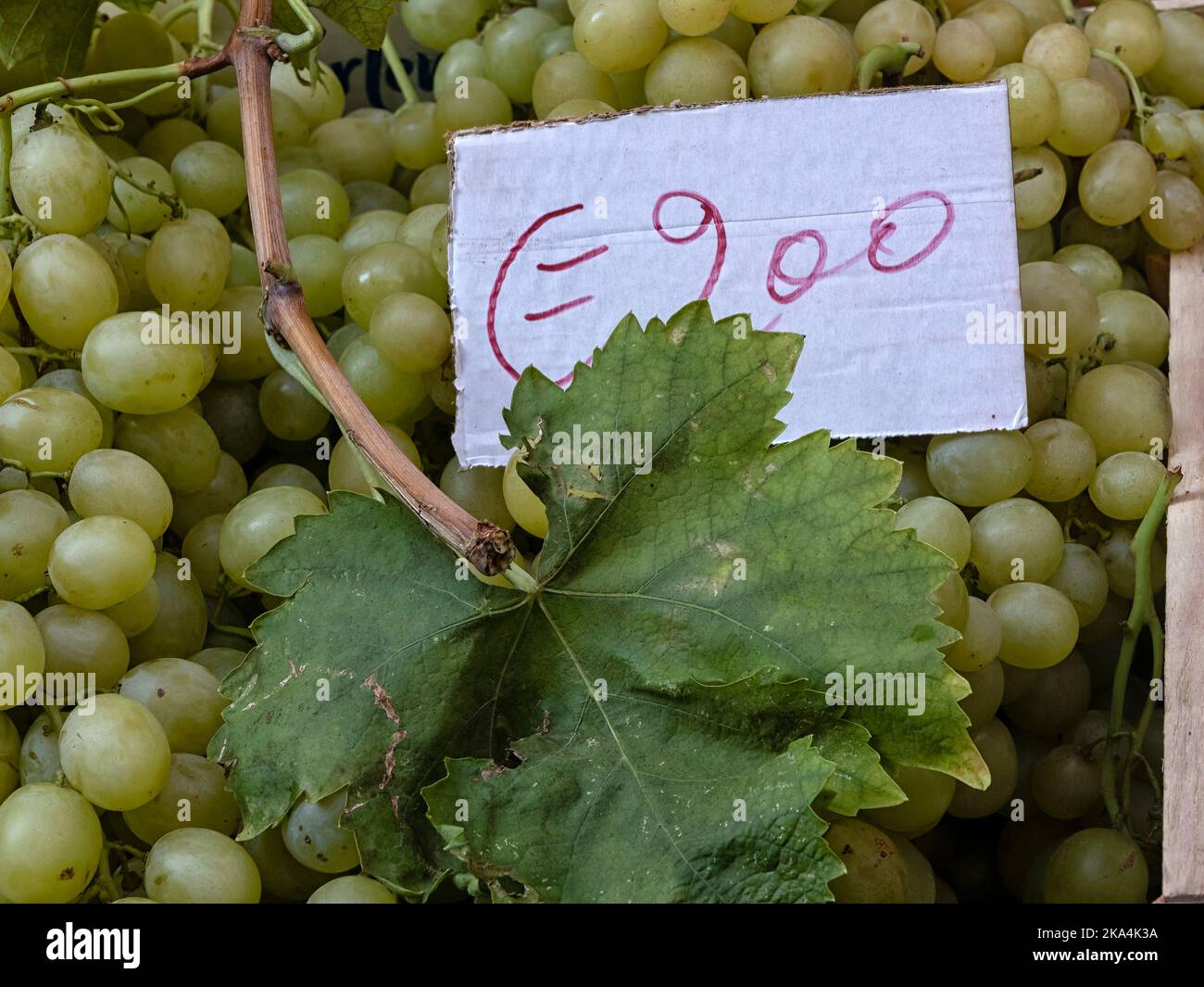 2022 euros hi-res stock photography and images - Alamy