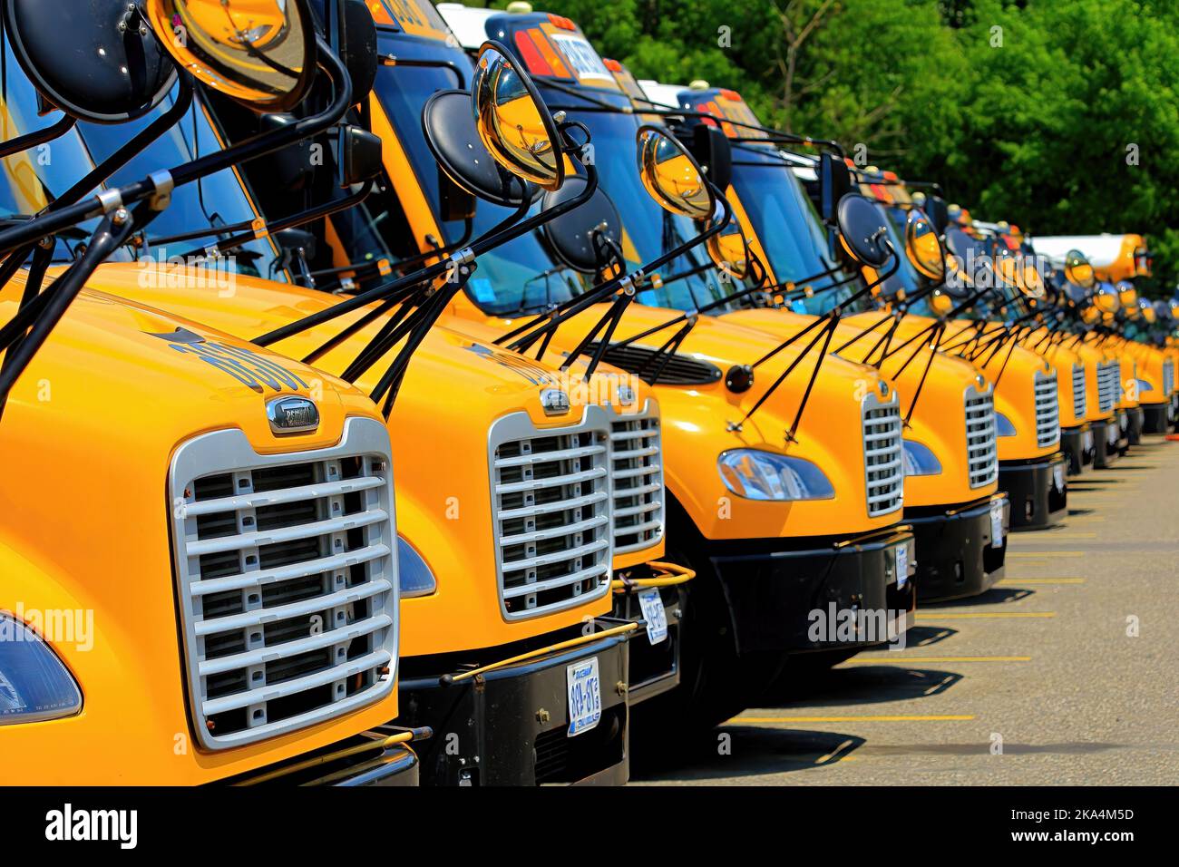 Row of City of Bayport school buses in the school parking lot in ...