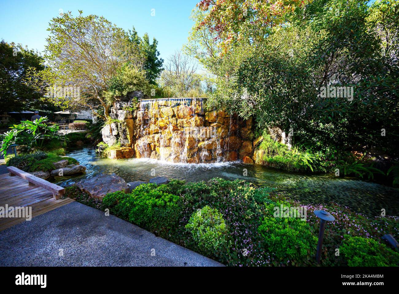 A beautiful view of flowing waterfall from rocks surrounded by trees ...
