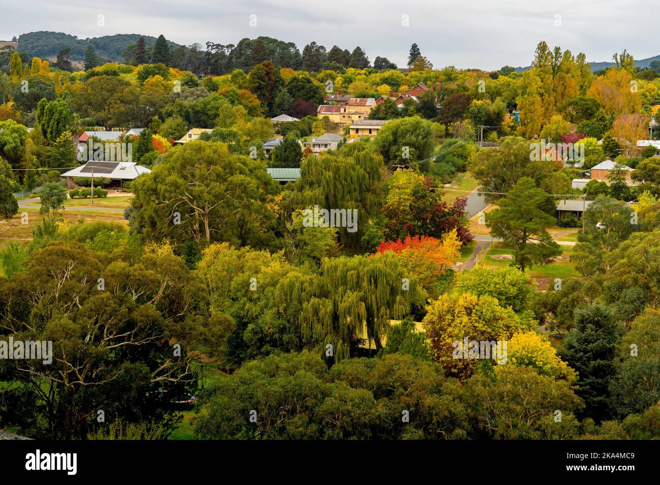 An aerial view of green trees and a village the near Beechworth Gorge ...