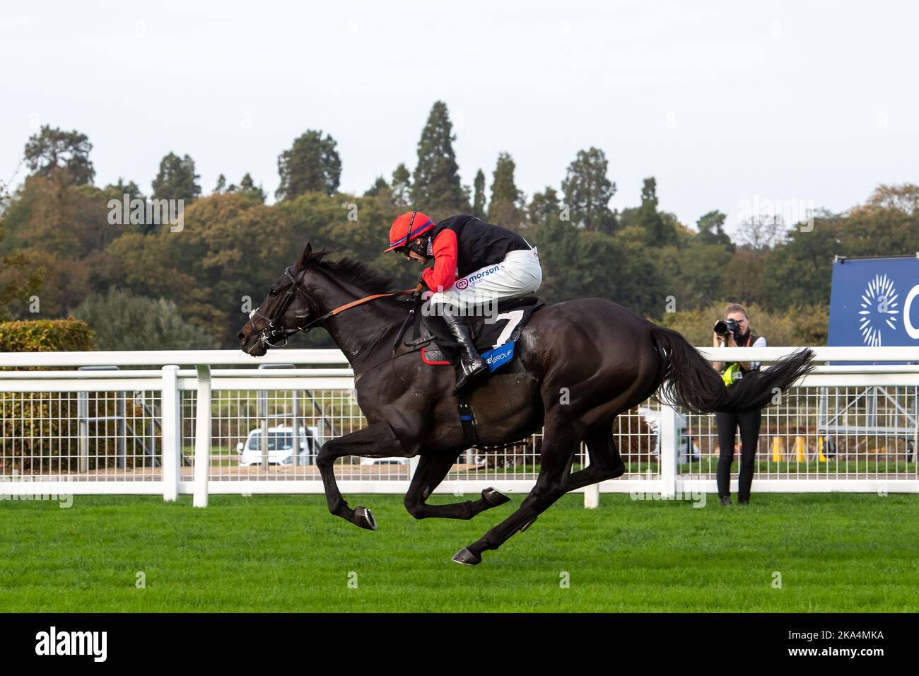 Ascot, Berkshire, UK. 29th October 2022. Horse Thyme White ridden by ...