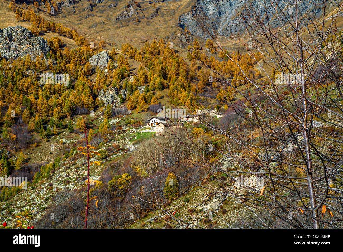 At the foot of Mount Oronaye: autumn in the Maira Valley, in southern ...