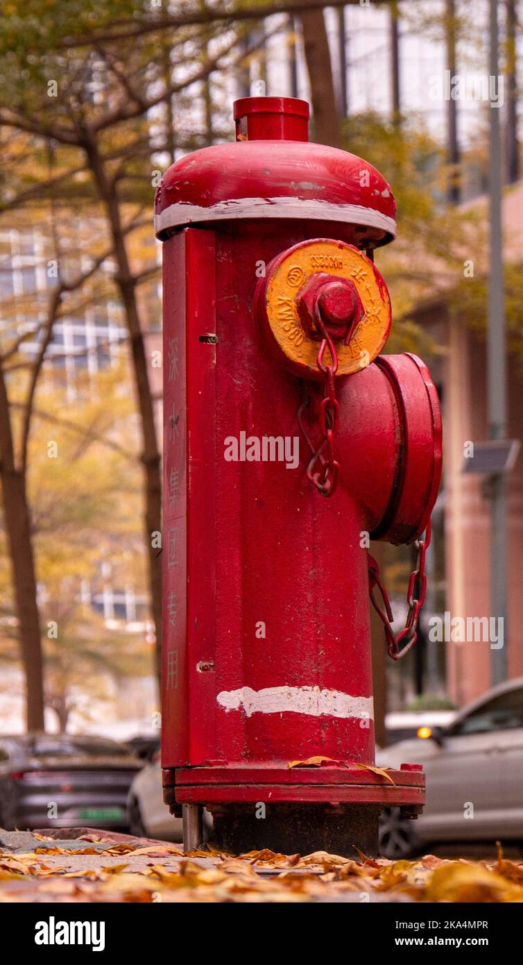 A vertical hot of a red fire hydrant along a road Stock Photo - Alamy