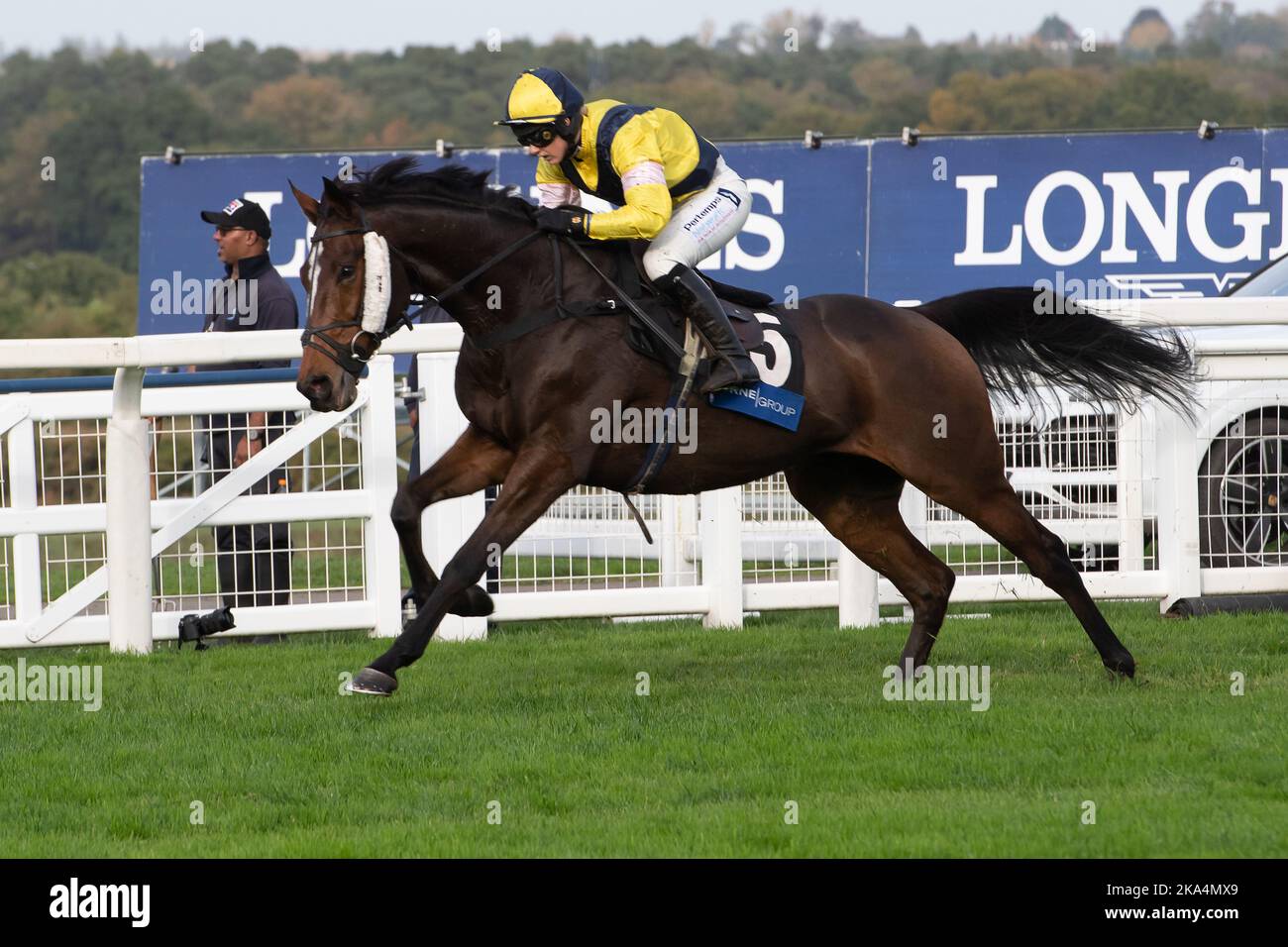 Amoola gold racecourse 2022 hi-res stock photography and images - Alamy