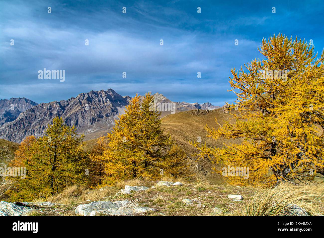 At the foot of Mount Oronaye: autumn in the Maira Valley, in southern ...