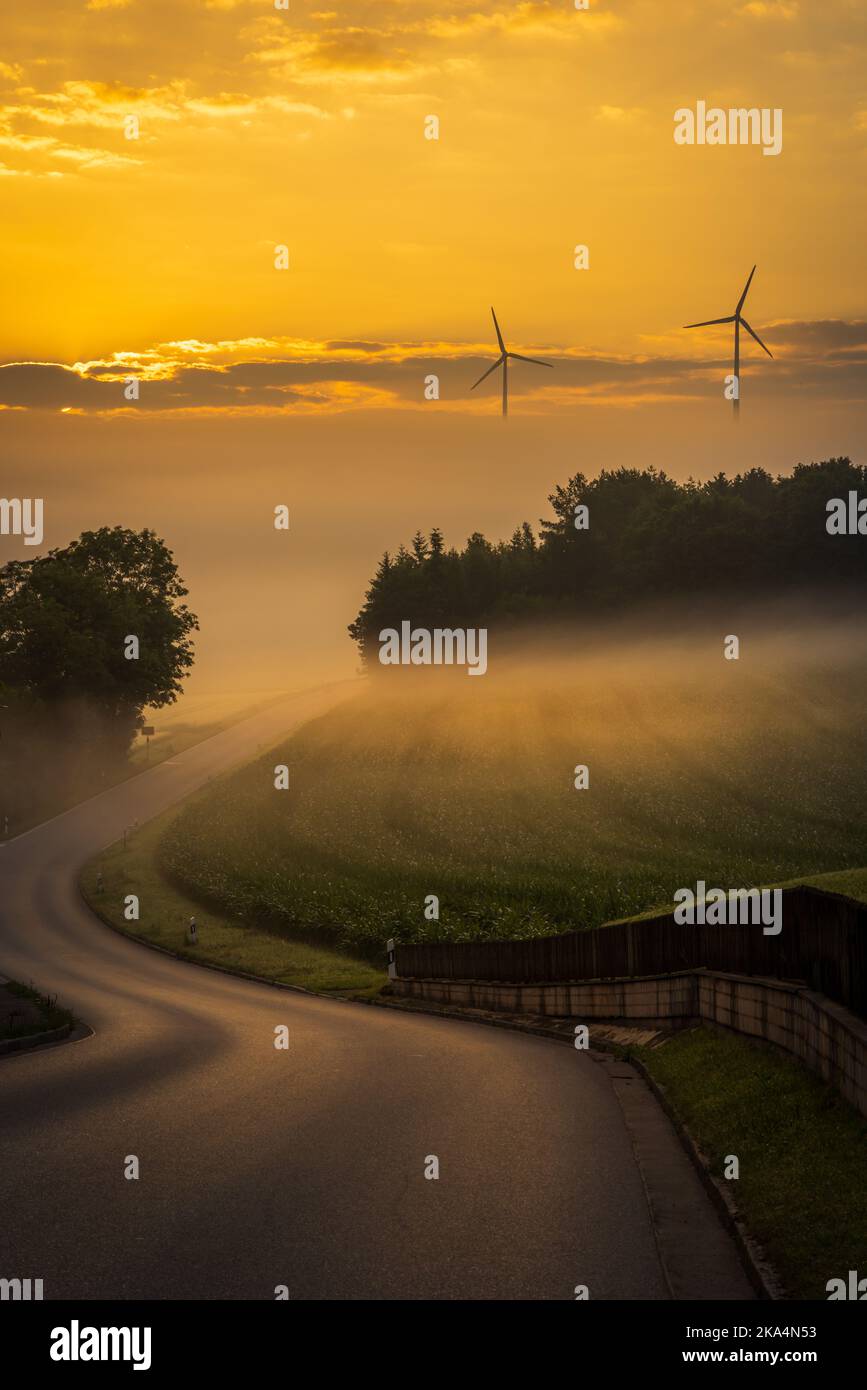 A dreamy negative space vertical shot of a yellow morning sunrise and ...