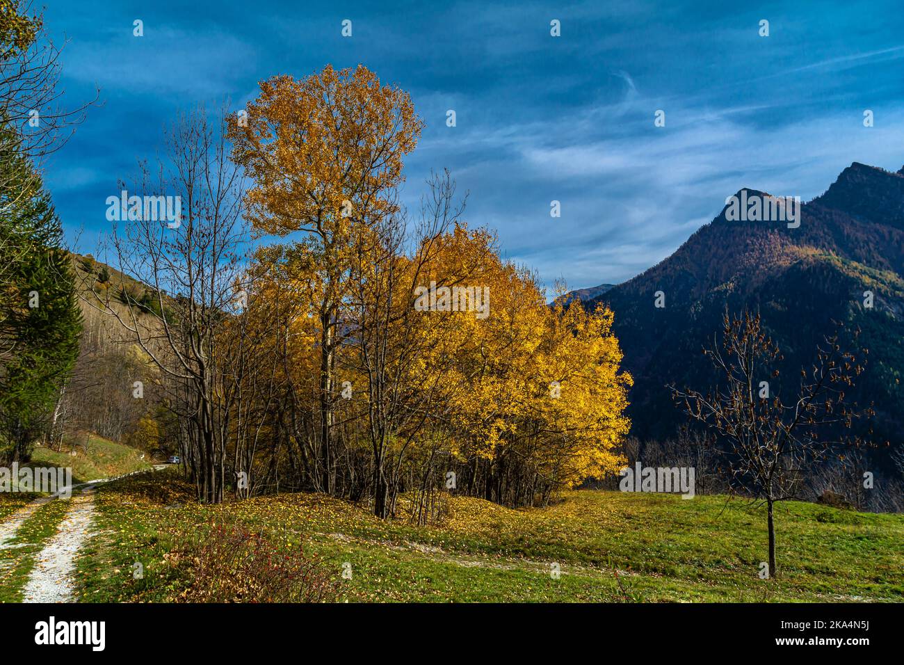 At the foot of Mount Oronaye: autumn in the Maira Valley, in southern ...