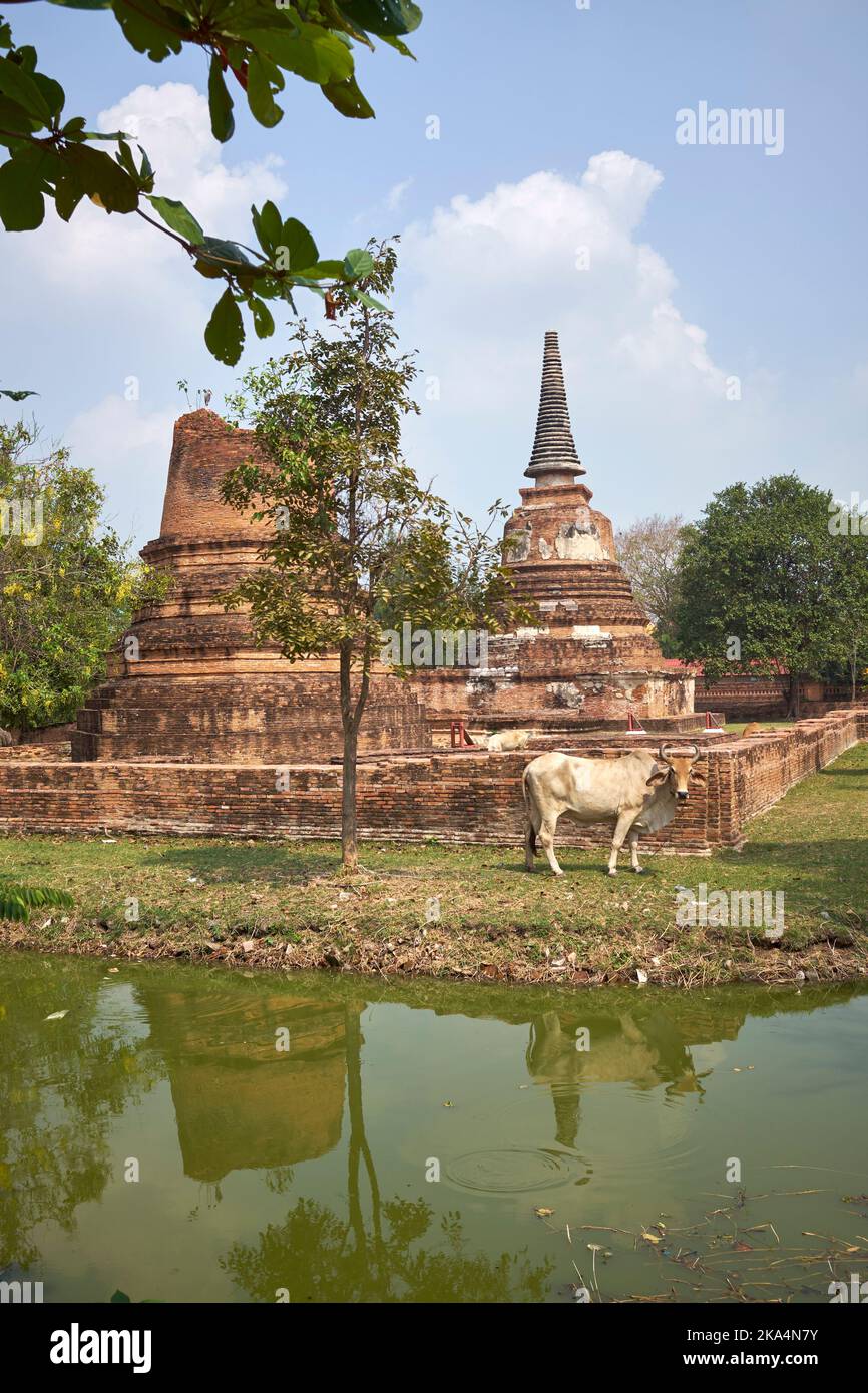 Wat Hatsada Temple Ayutthaya Thailand Stock Photo - Alamy