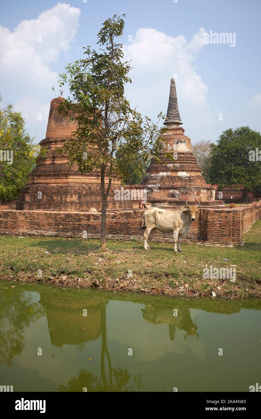 Wat Hatsada Temple Ayutthaya Thailand Stock Photo - Alamy