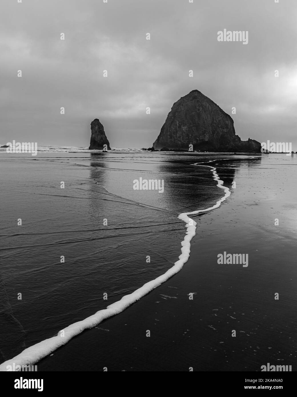 A vertical shot of a sandy beach near the sea with a cloudy sky ...