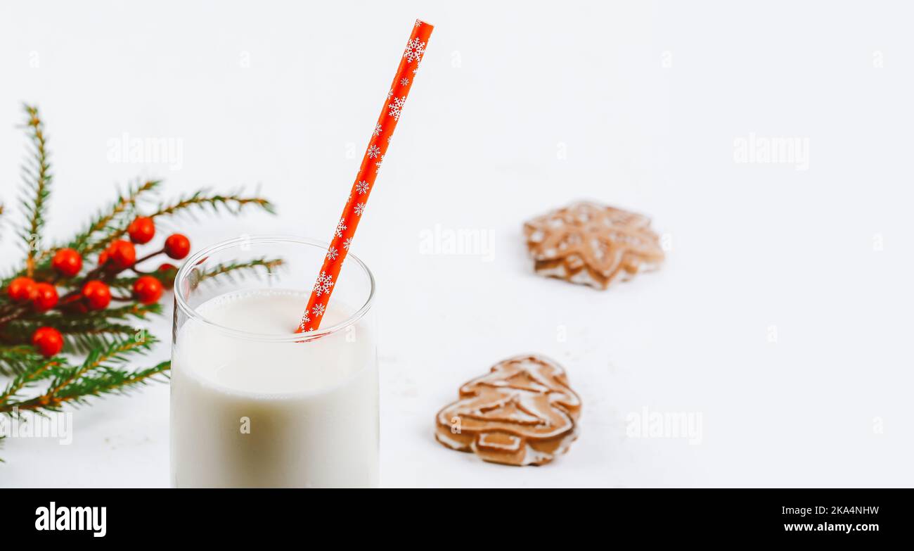 Milk and Christmas cookies for Santa. Christmas background. gingerbread ...