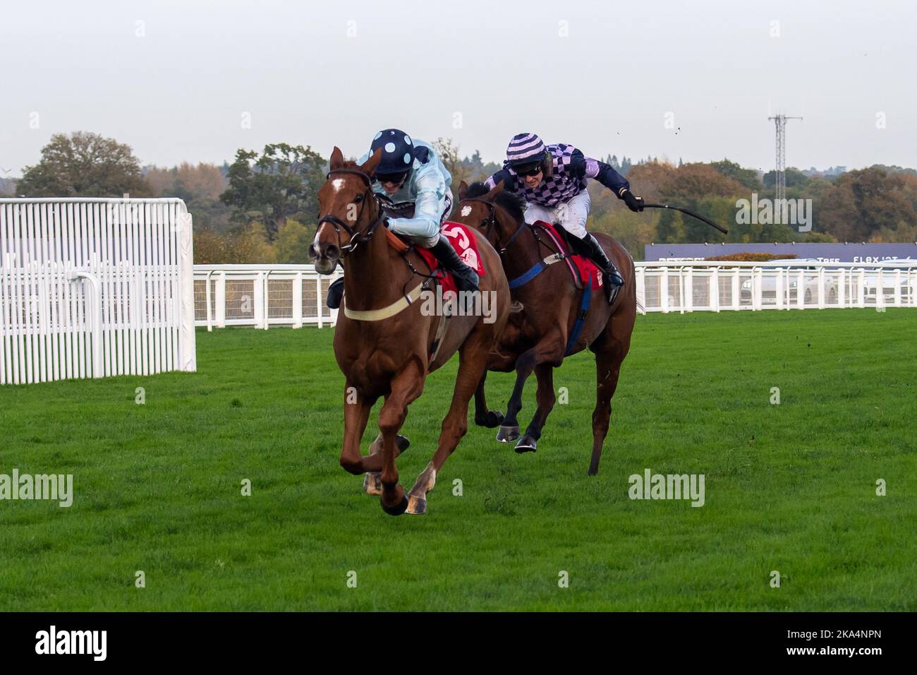 Chris gordon trainer hi-res stock photography and images - Alamy