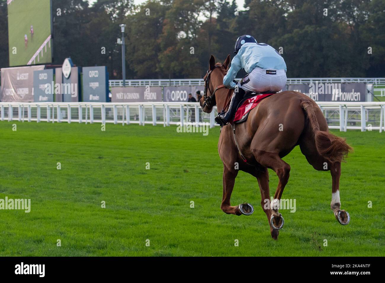 Richard and carol cheshire hi-res stock photography and images - Alamy