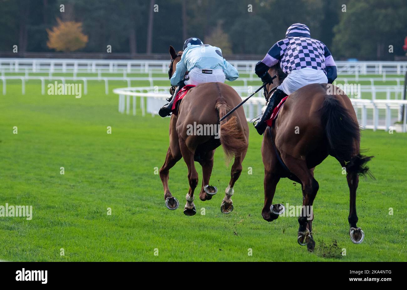 Trainer chris gordon hi-res stock photography and images - Alamy