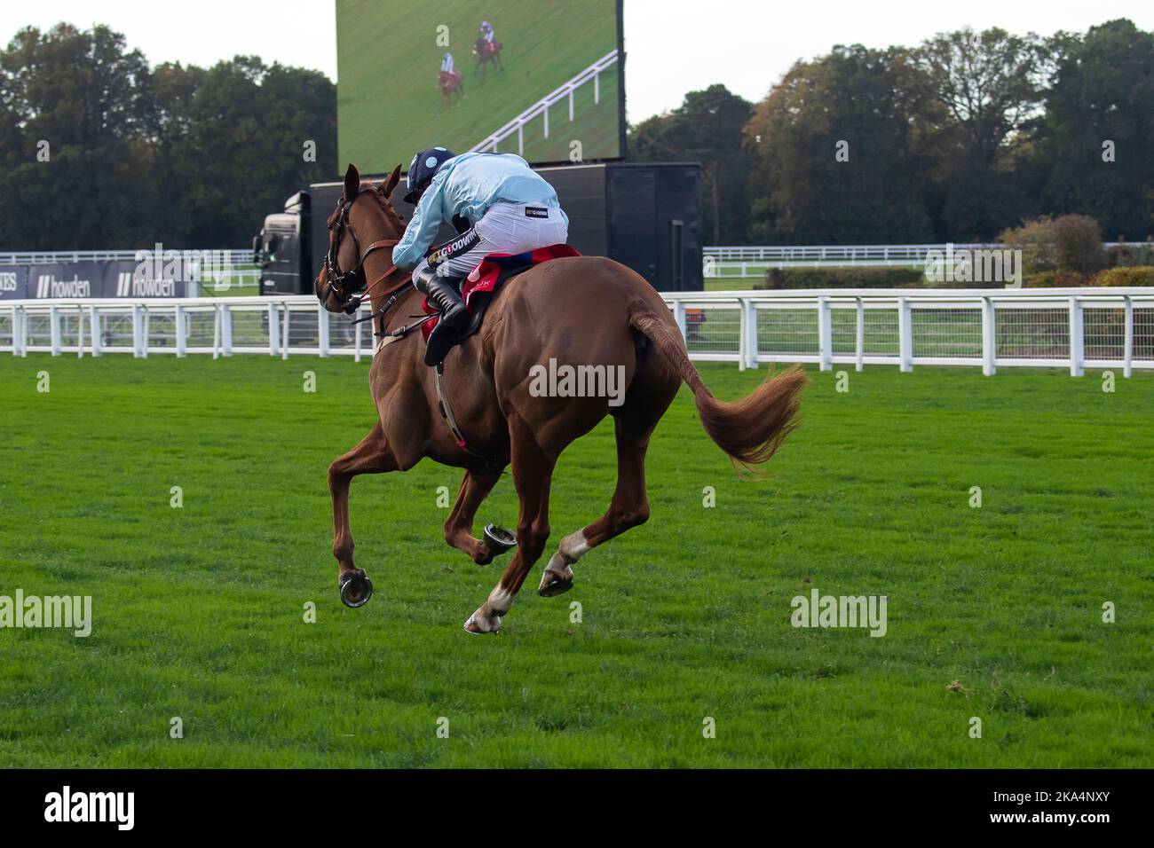 Ascot, Berkshire, UK. 29th October, 2022. Horse Leave of Absence ridden ...