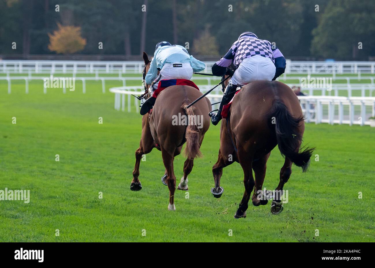 Stan sheppard hi-res stock photography and images - Alamy