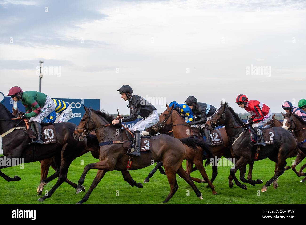 He molton brown standard open national hunt flat race uk hi-res stock ...
