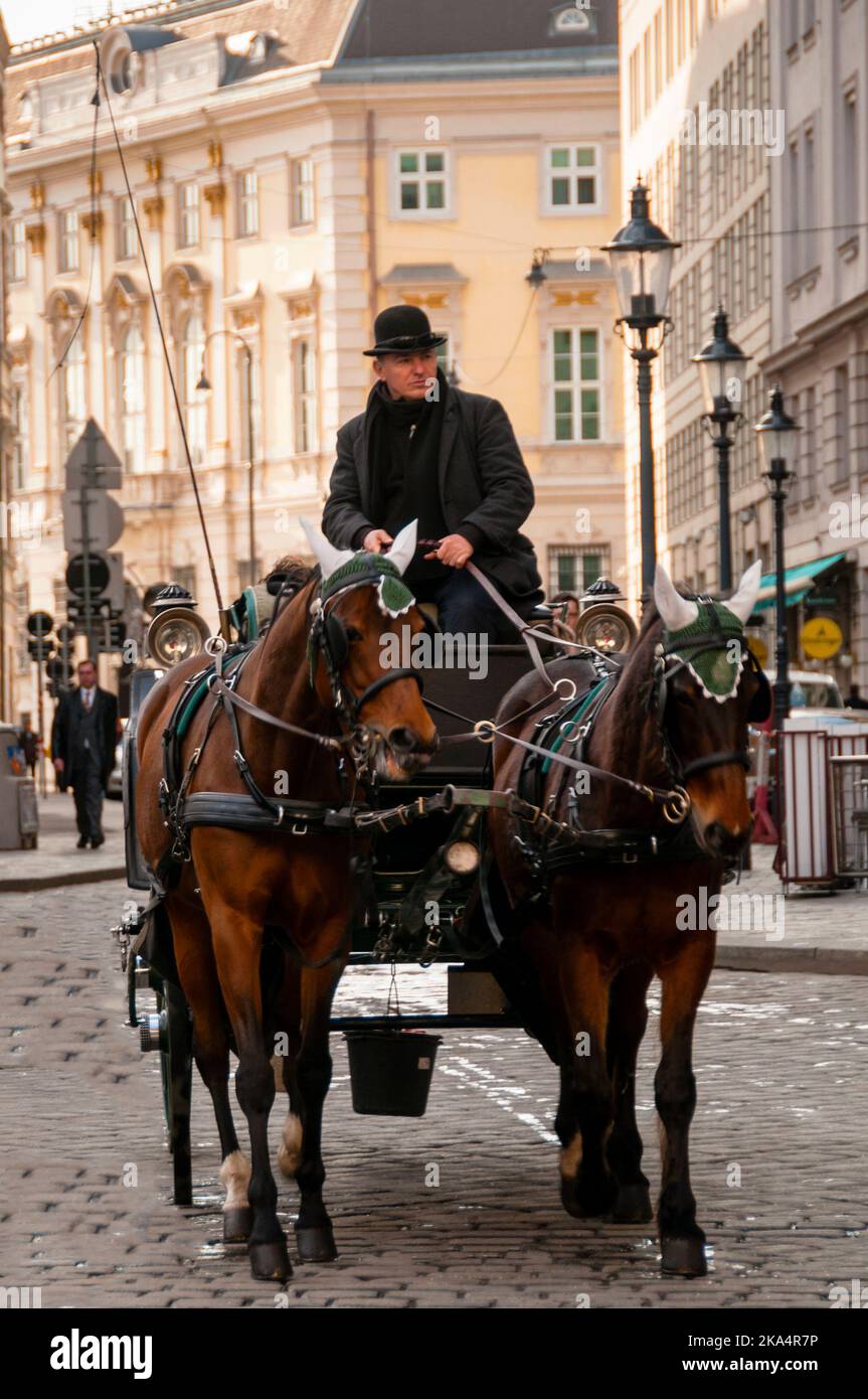 Two horse carriage rides in vienna hi-res stock photography and images ...