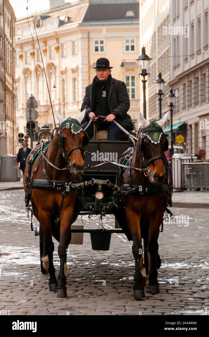 Two horse carriage rides in vienna hi-res stock photography and images ...