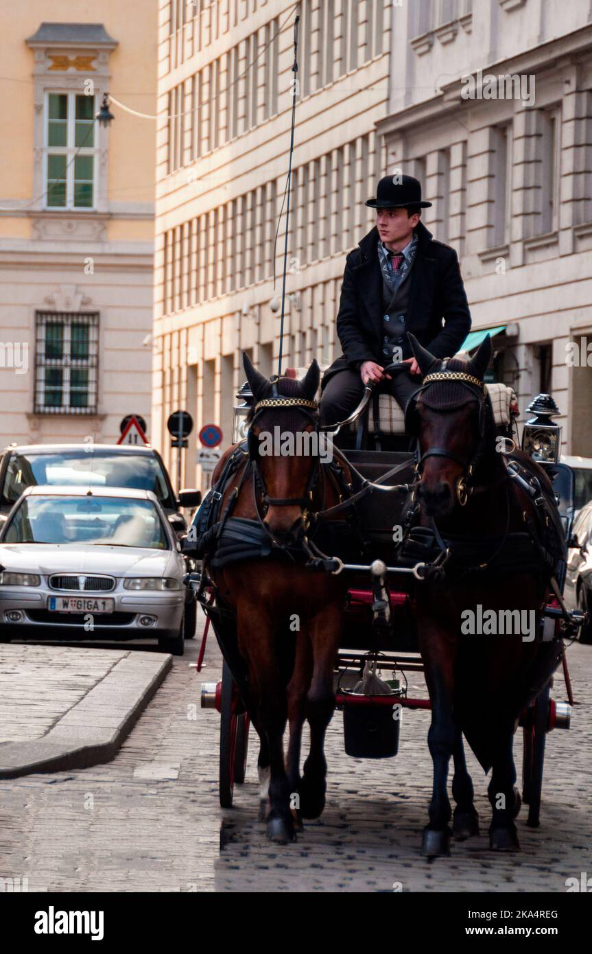 Viennese Fiaker in a derby hat on a two-horse drawn carriage, Austria ...