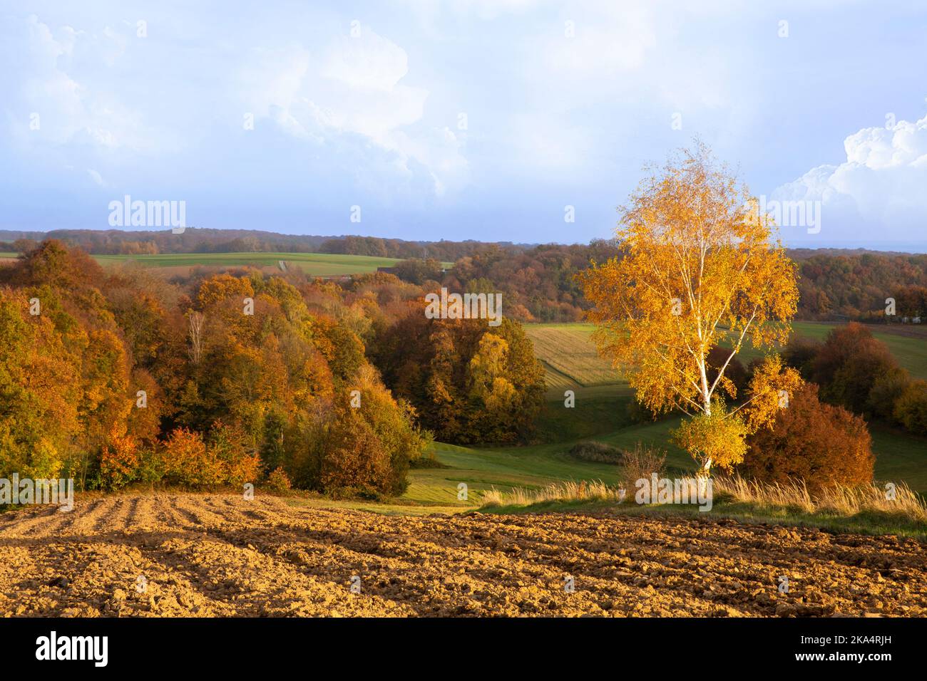 Beautiful landscapes in the provinces in Poland Stock Photo - Alamy