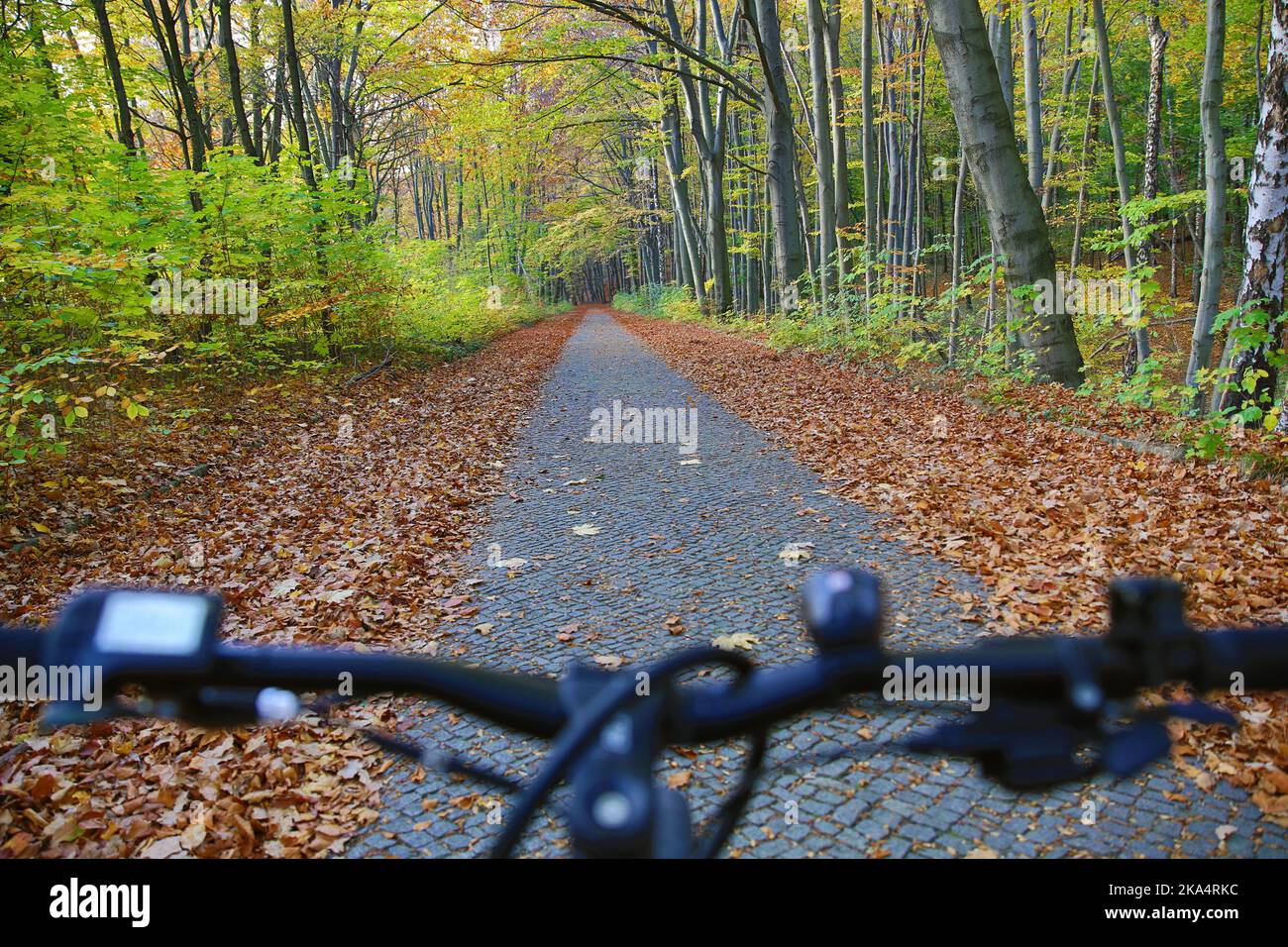 Cycling on beautiful road hi-res stock photography and images - Alamy