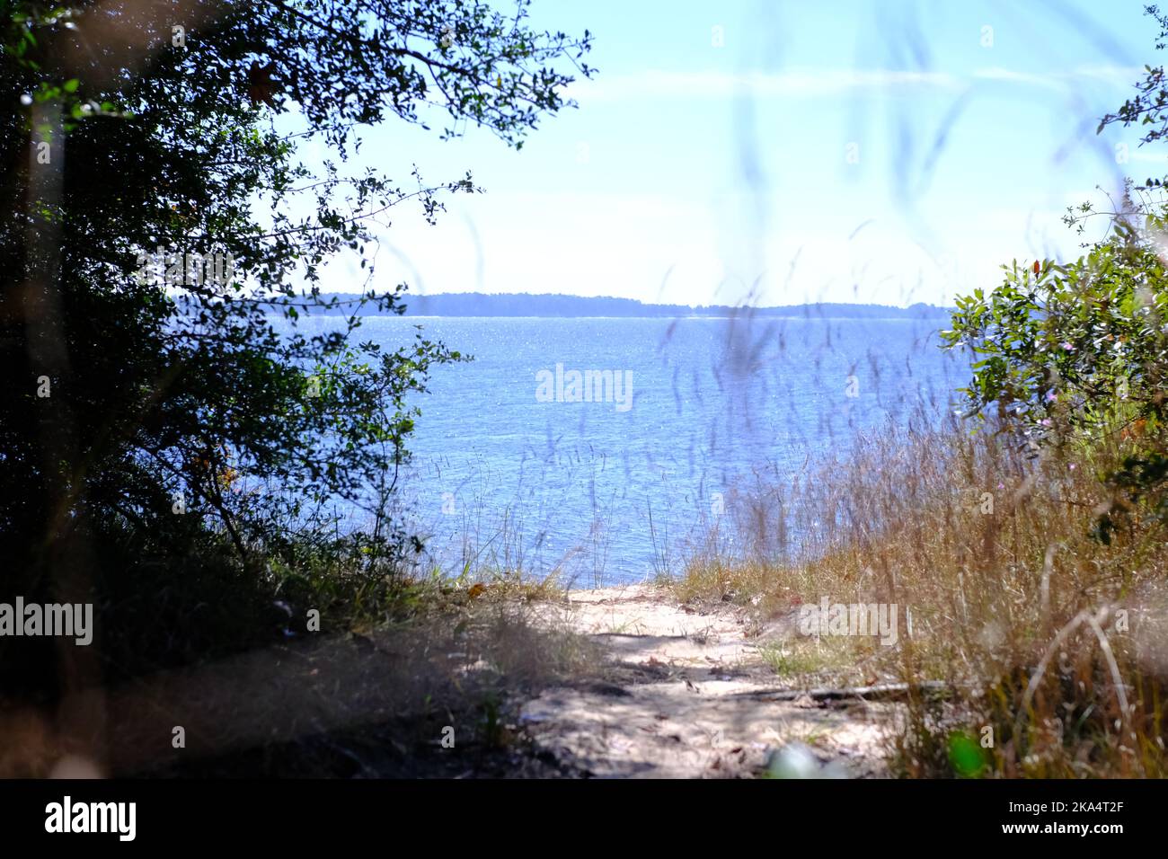This a lakeview of the Toledo Bend Reservoir from the hiking trails at ...