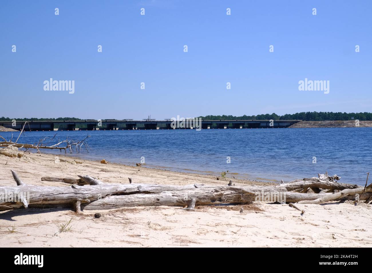 This is a view of the Toledo Bend Forest Scenic Byway LA Highway 191 ...