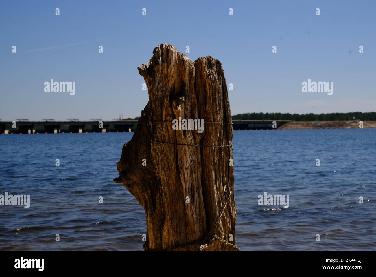 This is a view of the Toledo Bend Forest Scenic Byway LA Highway 191 ...