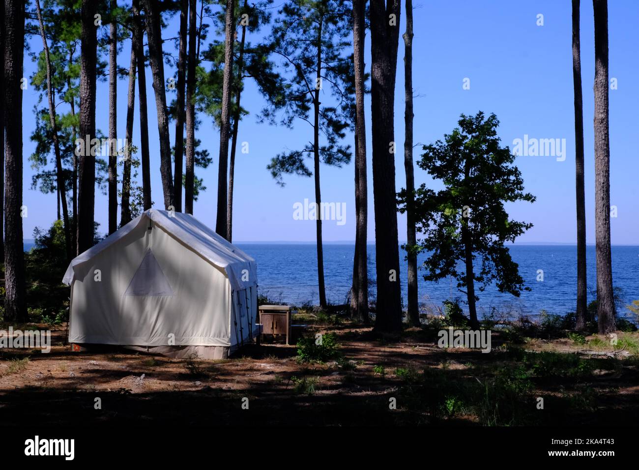 View of Toledo Bend Reservoir from South Toledo Bend State Park in ...