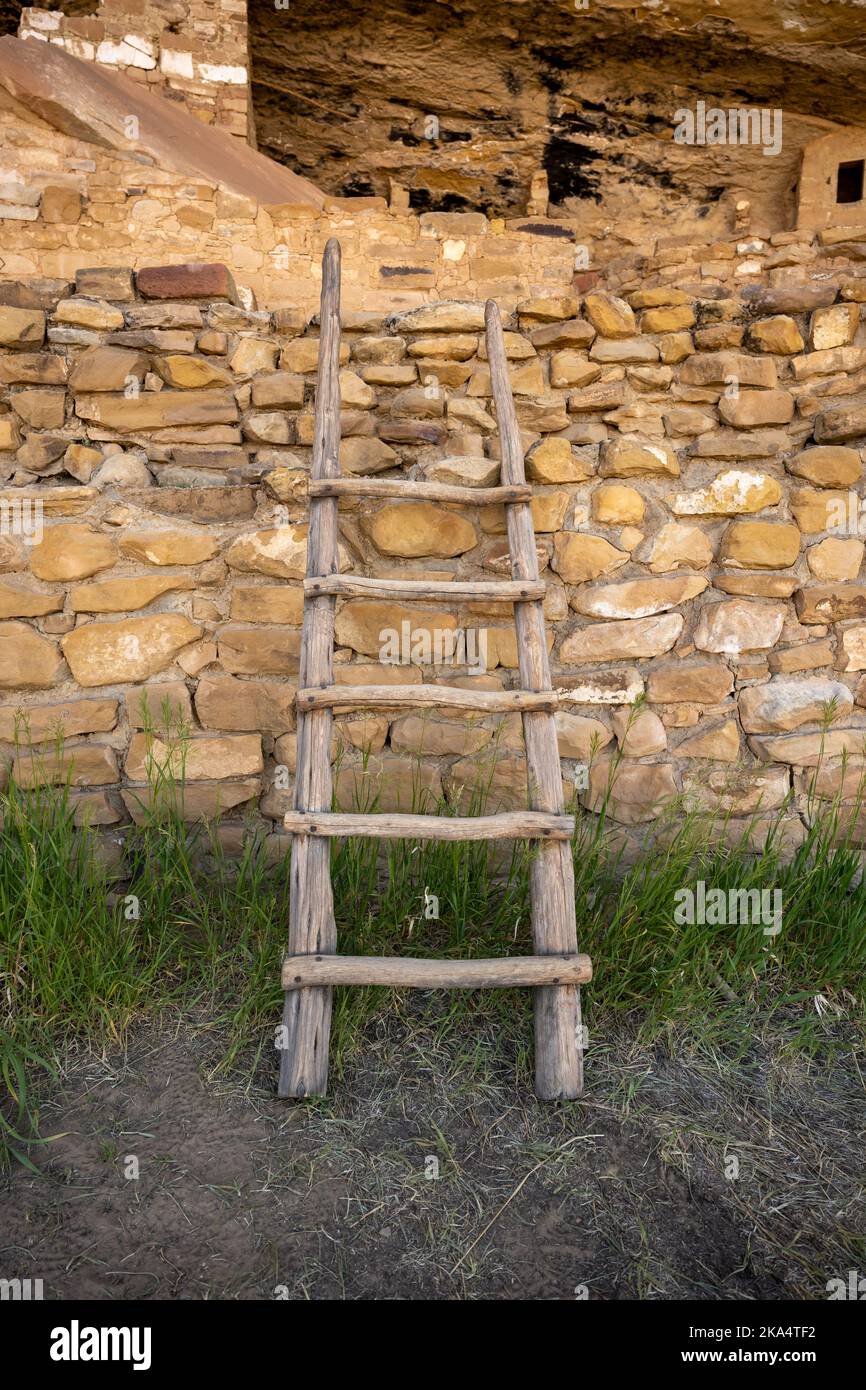 Wooden Ladder Connects Levels of Long House Cliff Dwelling in Mesa ...