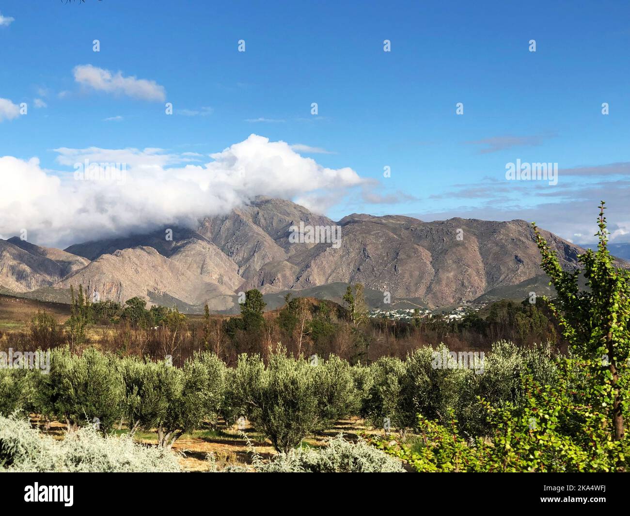 Rural mountain landscape, Montagu, Western Cape, South Africa Stock ...