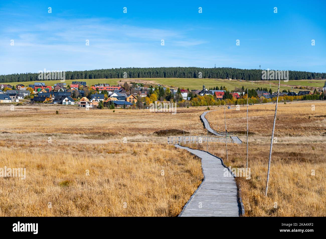 Wooden path in Bozi Dar peat bog nature reservation on sunny autumn day ...
