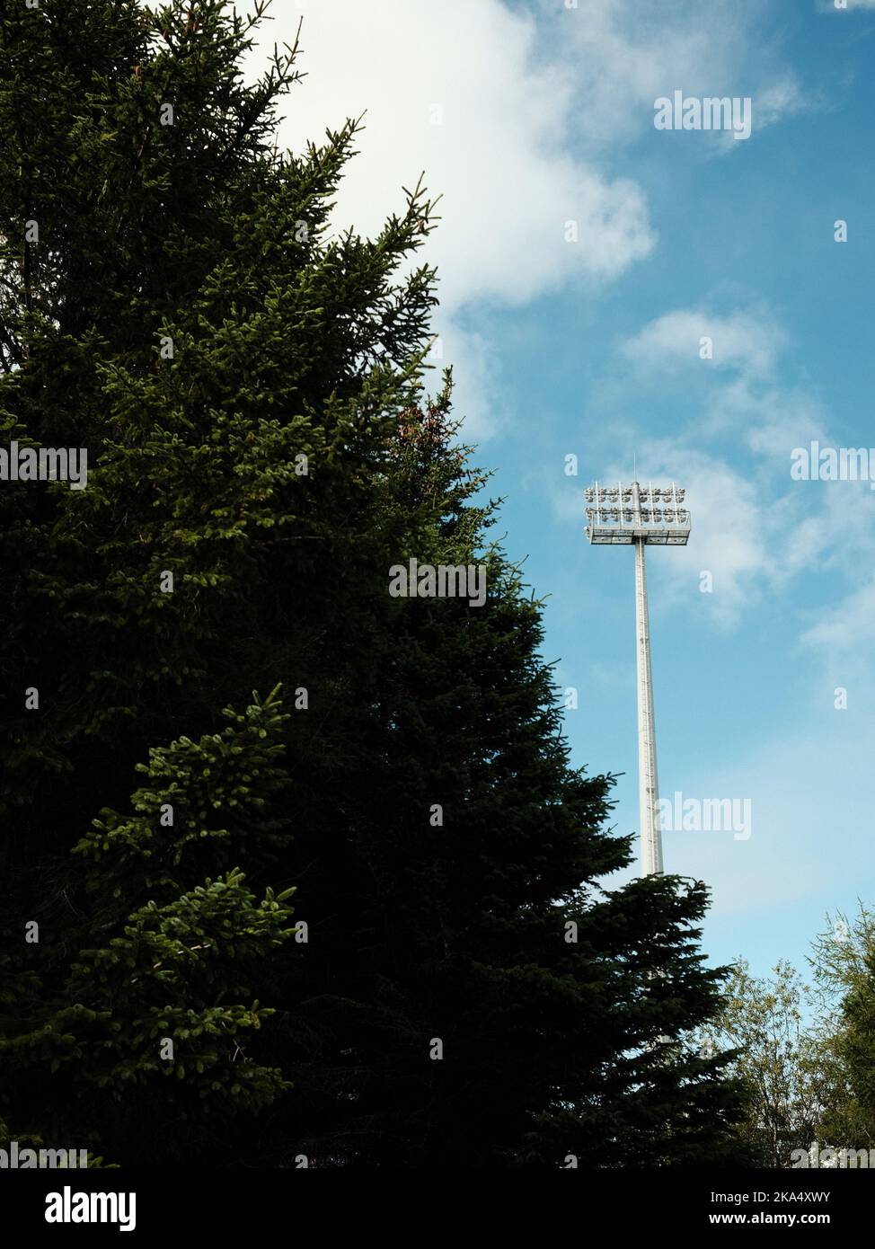 Tree stadium hi-res stock photography and images - Alamy