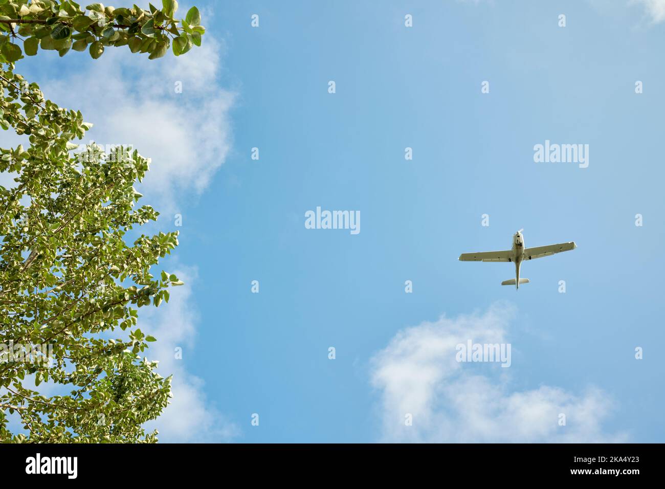 Plane flying over green tree Stock Photo - Alamy