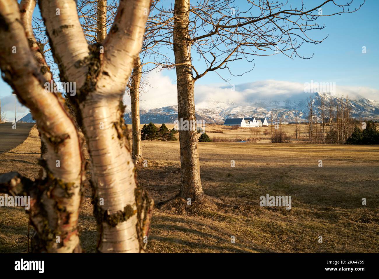 Dry field trees mountains hi-res stock photography and images - Alamy