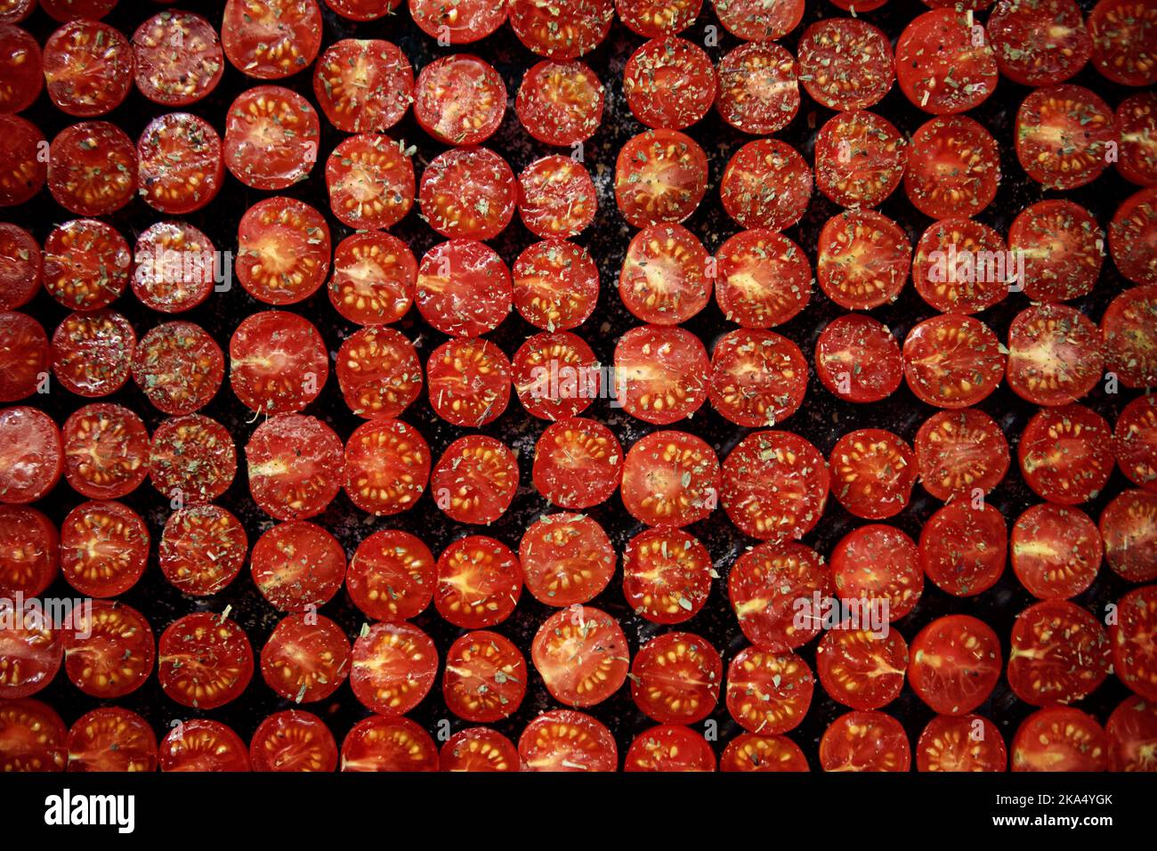 Overhead View of Rows of Sun-Dried Tomatoes Prepared at Home Stock ...