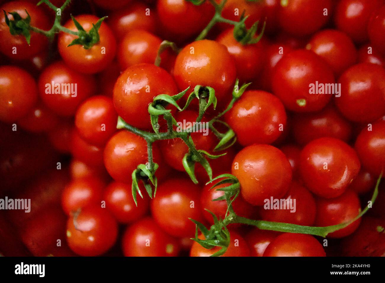 Red tomatoes with black background hi-res stock photography and images ...