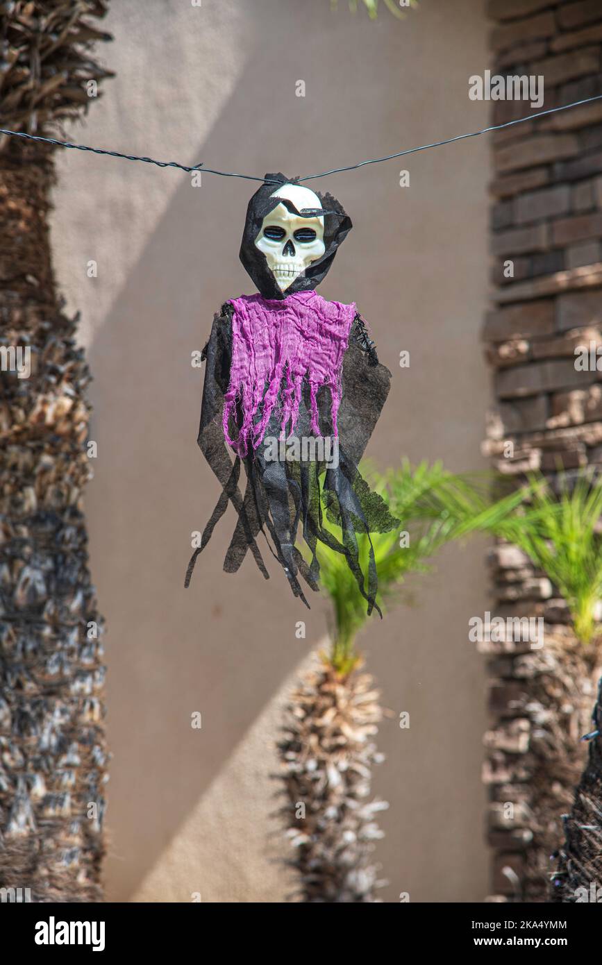 A skull ghost Halloween decoration hanging between two palm trees Stock ...