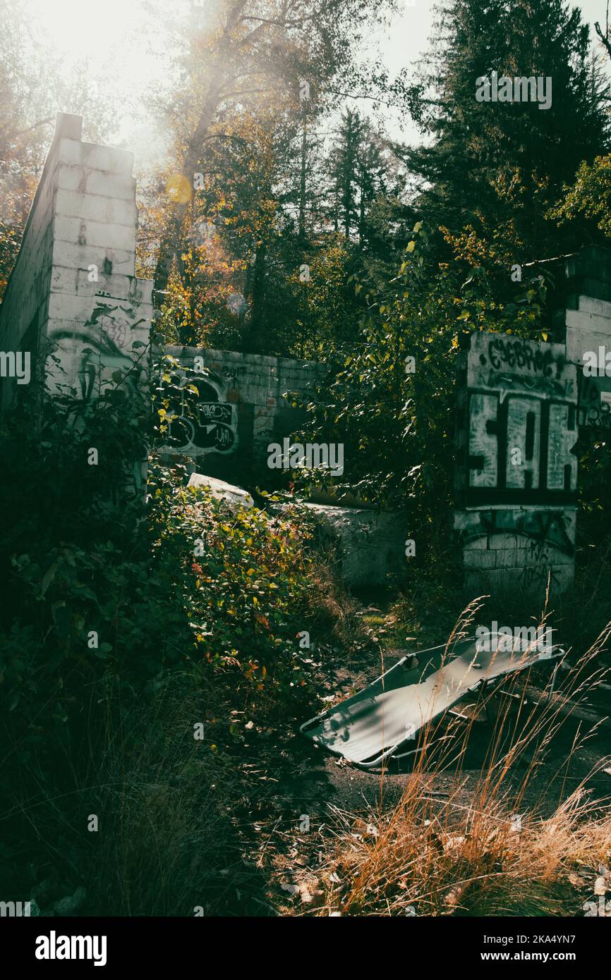 Rundown building overgrown with plants and covered in spray paint Stock ...