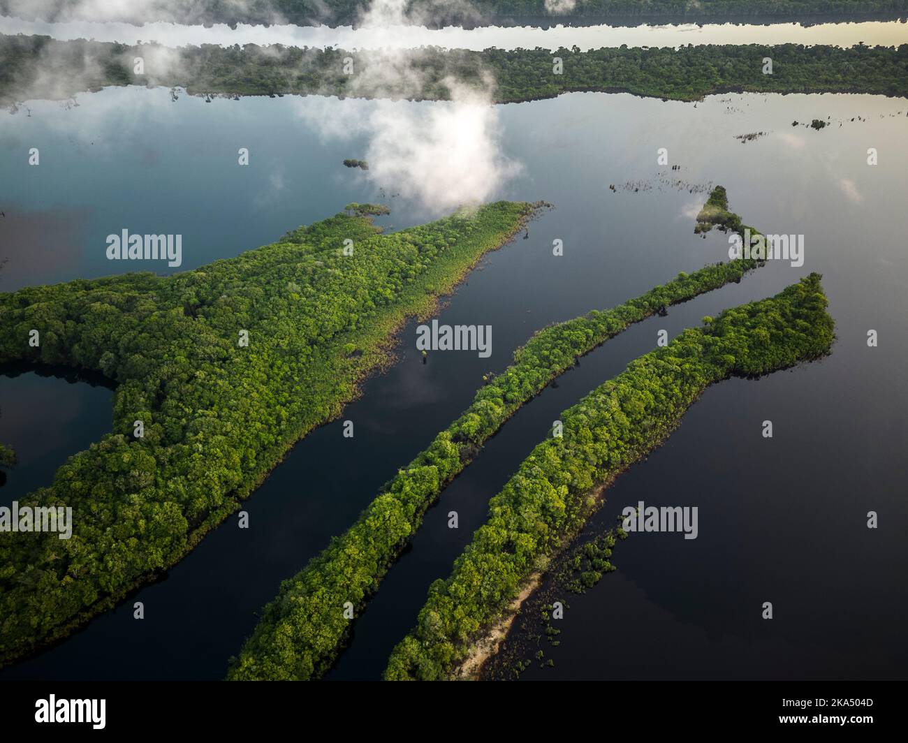 Beautiful aerial view to green amazon rainforest, clouds and islands ...
